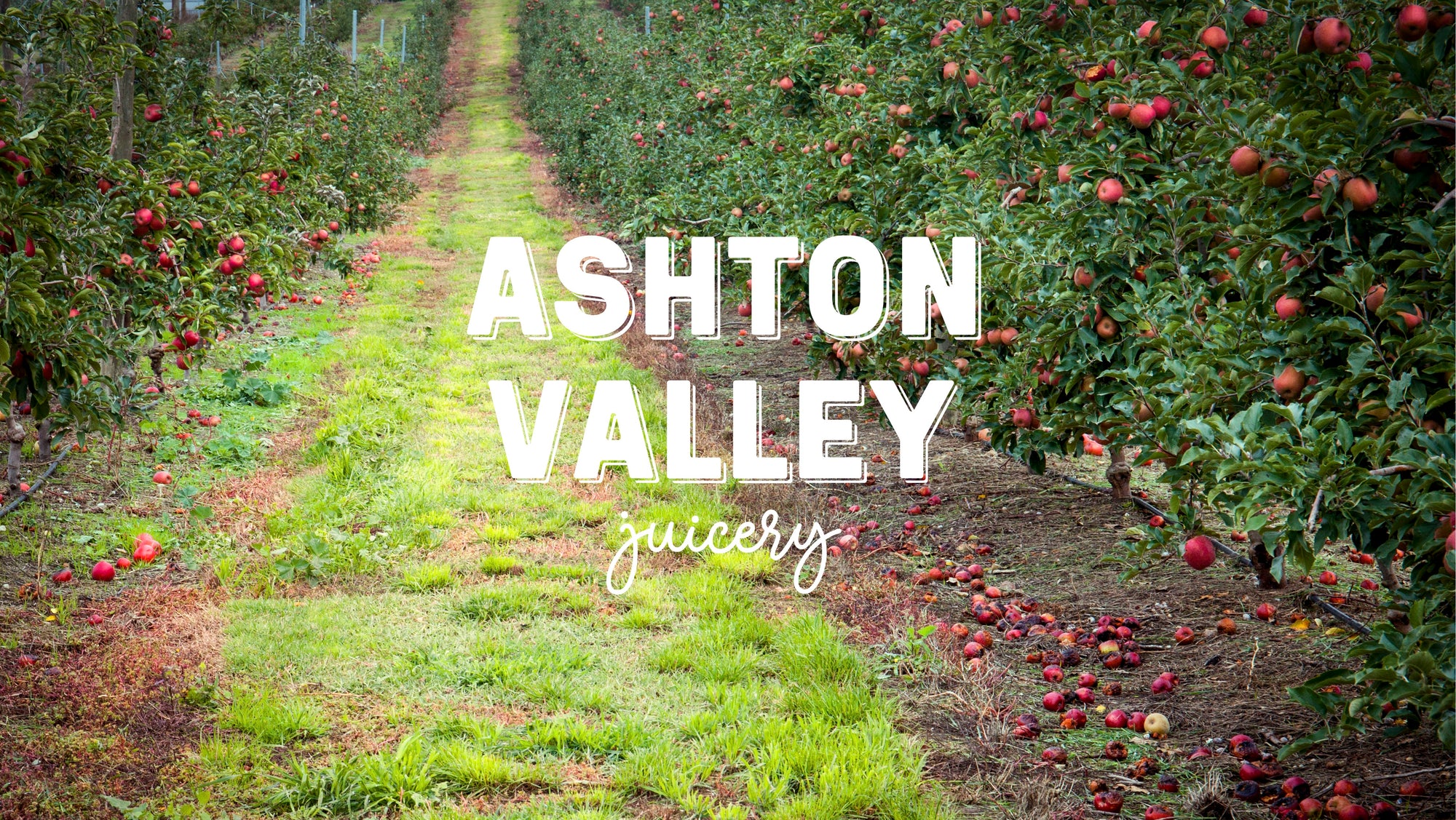 Ashton Valley Fresh
